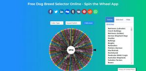 Dog Name Generator - Wheel Spinner App