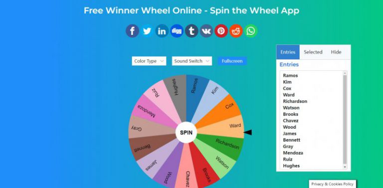 Win or Lose - Wheel Spinner App